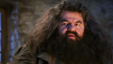 Nick Frost’s Hagrid Can’t Skip 5 Scenes in HBO’s Harry Potter That the ...