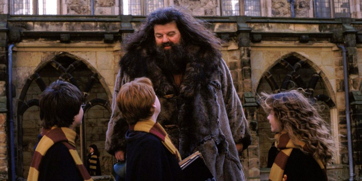 Nick Frost Says His Hagrid in the Harry Potter TV Show Is Not a Tribute ...