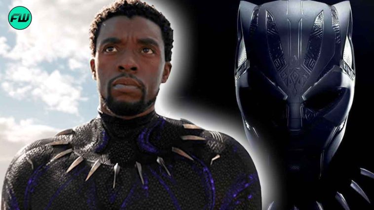 Black Panther: Wakanda Forever Cast: Who is the New Black Panther After ...