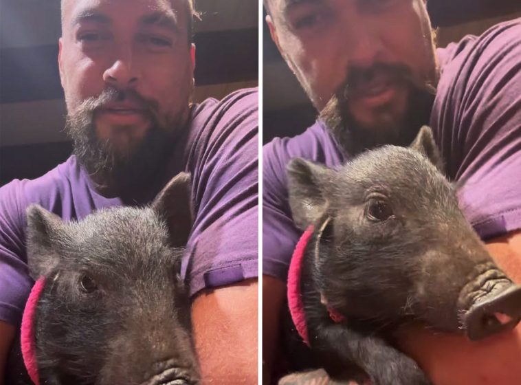 “That’s so stupid, Peta has way too much time on their hands”: Fans ...