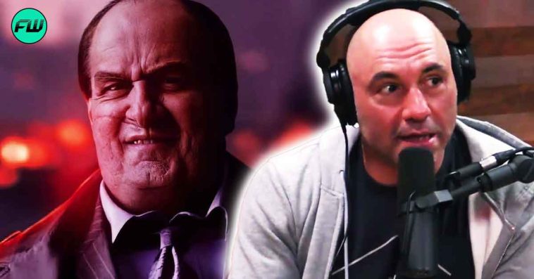 “Jesus Christ, really that was him?”: Joe Rogan Embarrassed Himself ...
