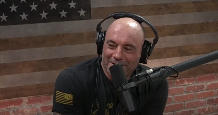 "I heard It was horrible, I can't do it": Biggest Hulk Fan, Joe Rogan ...