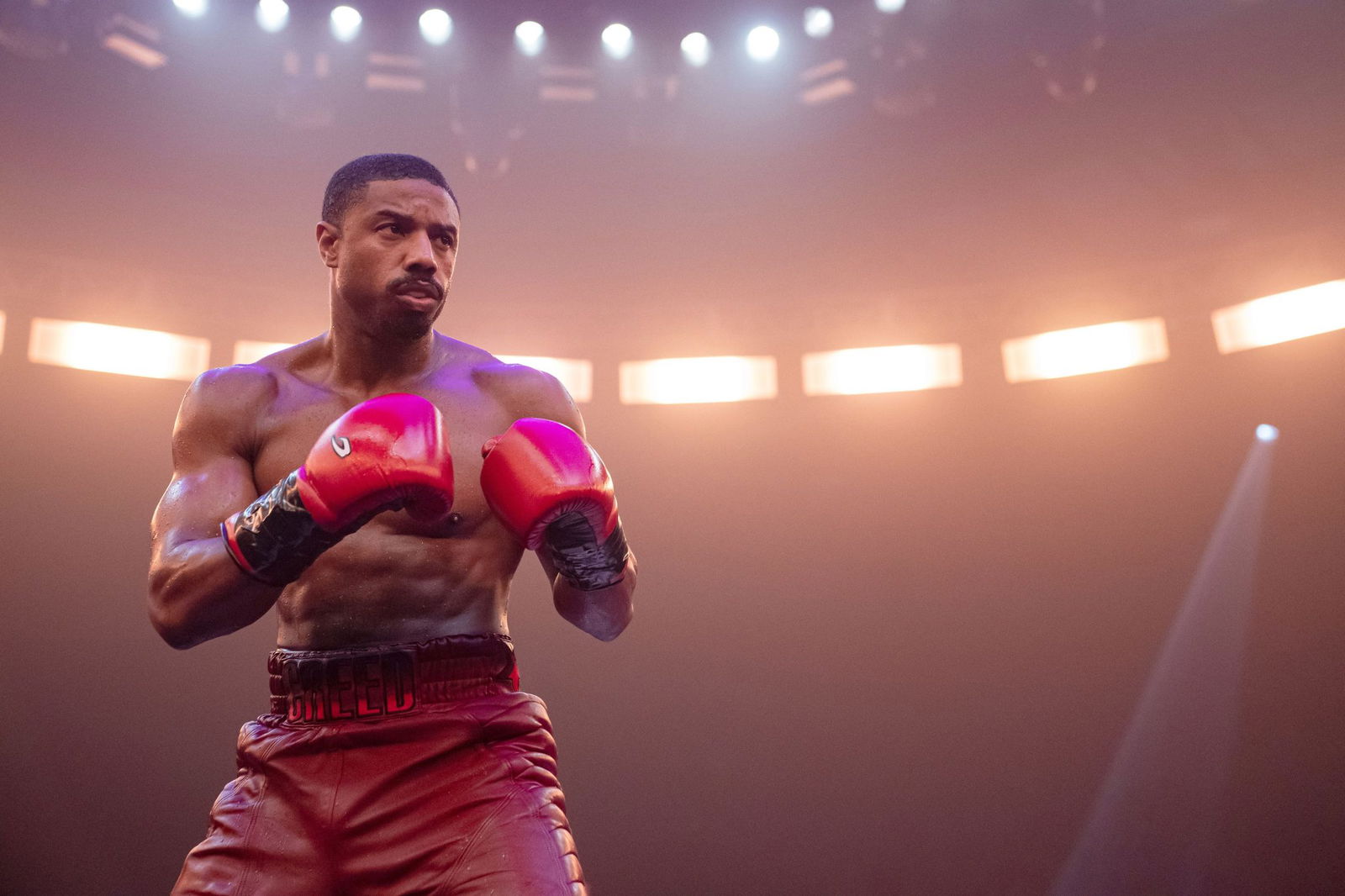 “He’s a really pesky guy!”: Black Panther Director Annoyed Sylvester ...