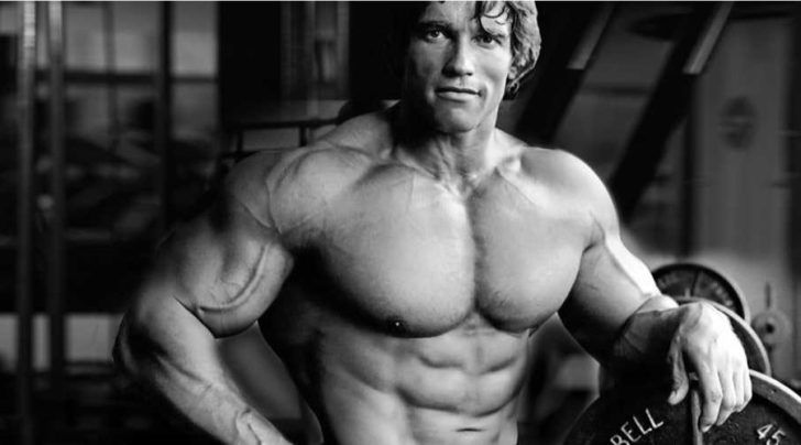 Arnold Schwarzenegger Tricked $1.54B Muscle God Franchise Co-Star into ...