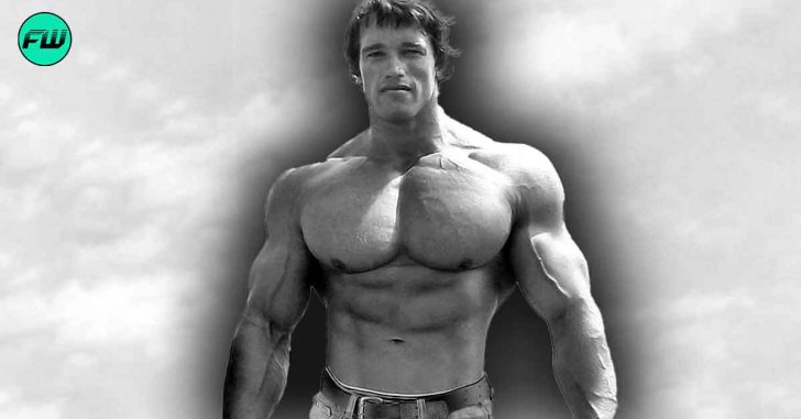 Arnold Schwarzenegger Was So Ripped for $79M Movie the Studio Asked Him ...