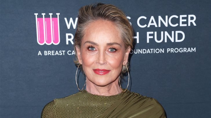 "We're seeing the white of your underwear": Sharon Stone Slapped $388M ...