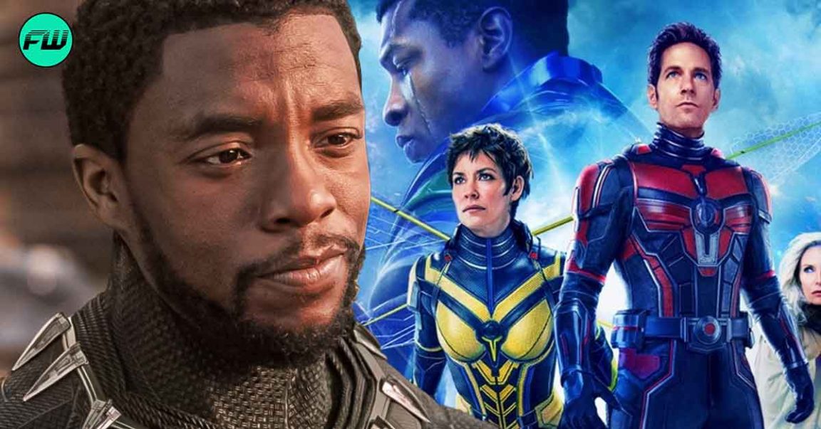 Black Panther Star Wants to Team Up With Ant-Man 3 Actor for Spider-Man ...