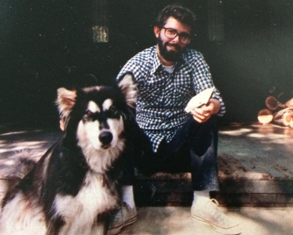 George Lucas' Dog Is the Inspiration Behind Harrison Ford's $1.9 ...