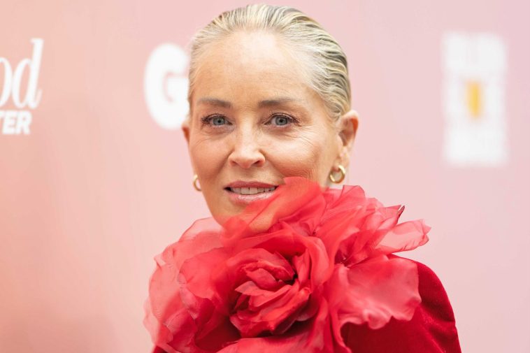 "All of a sudden he’s a bad guy?": Sharon Stone Unleashed Her Wrath on ...