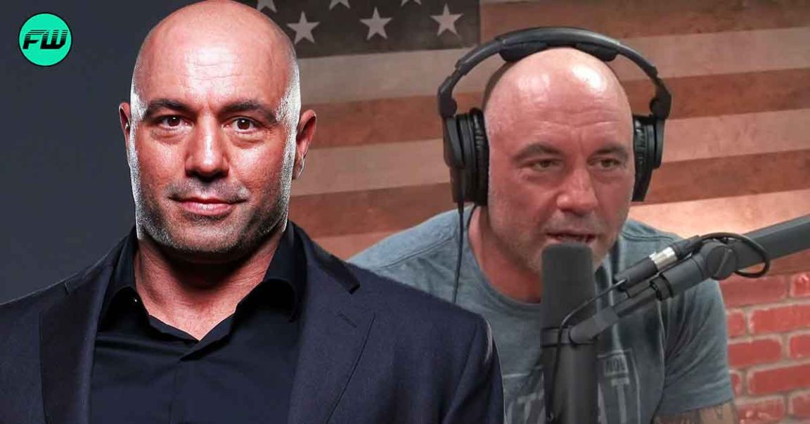 "Everyone's granny is dying, you f–king idiot": Joe Rogan Went Apesh-t ...