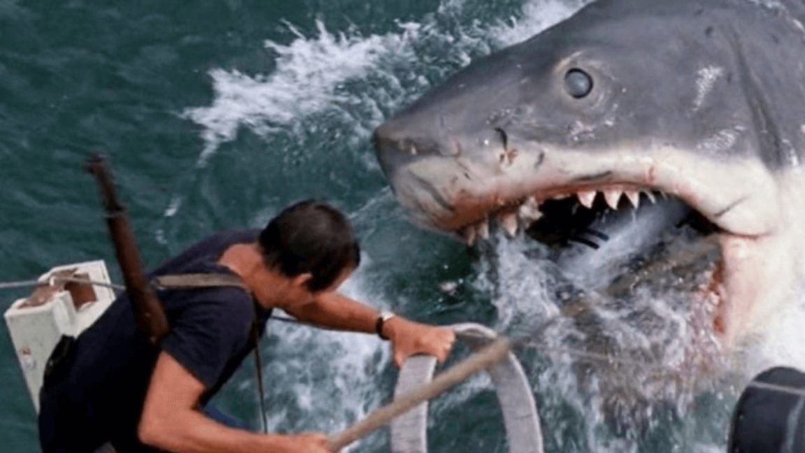 “Wow, this is like a TV movie I made”: Steven Spielberg Considers ‘Jaws ...