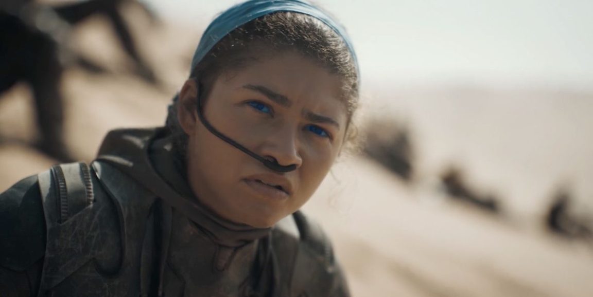 Dune 3: Florence Pugh’s Character Spells Doom for Timothee Chalamet and ...