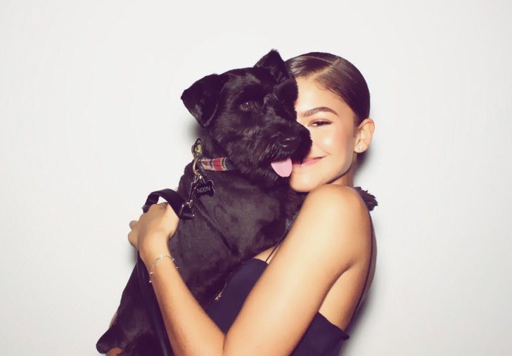 "Please don't take a picture of me picking up my dog's sh*t": Zendaya's ...