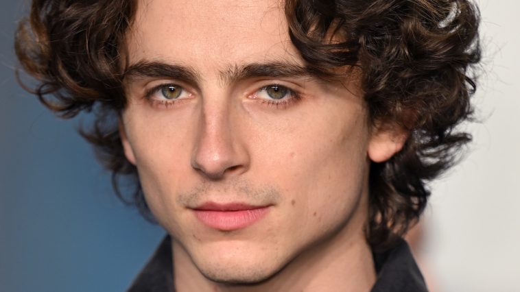 "I was going to photoshop my teacher's face in": Timothee Chalamet ...