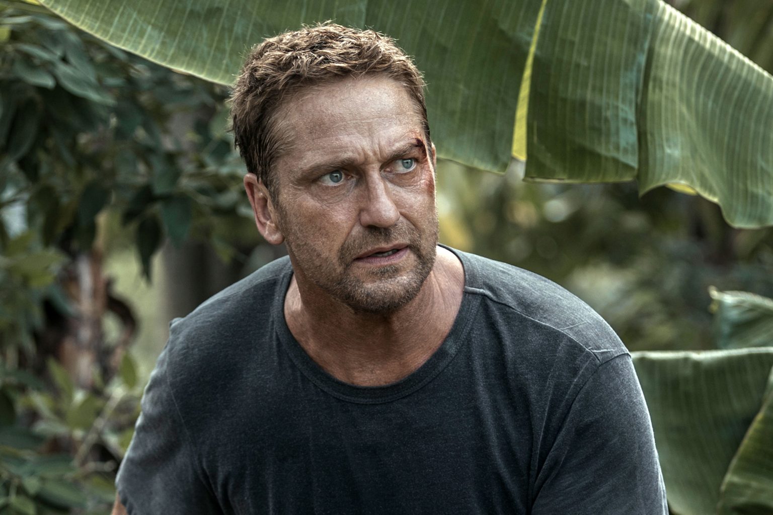 "They're covered in blood and green fluid": Gerard Butler Was "Burning ...