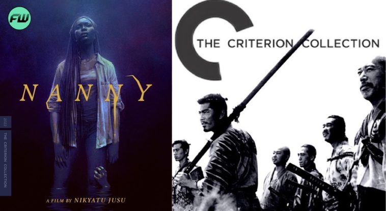 Criterion Collection: Nanny Review - An Unsettling Experience