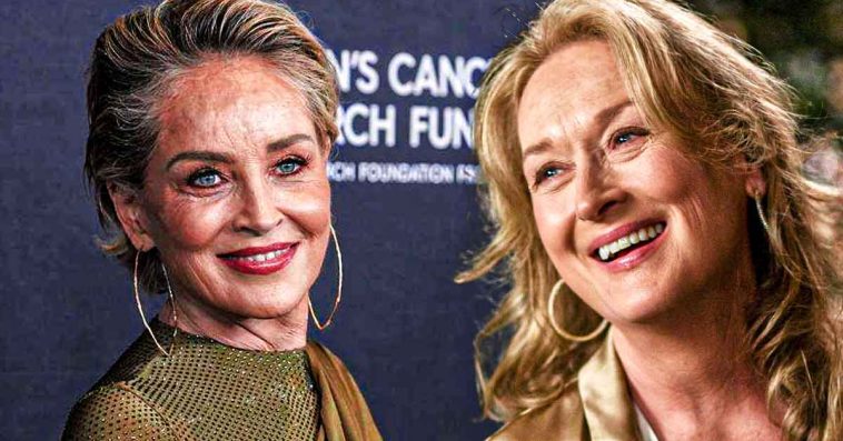 "Meryl looks like an unmade bed": Sharon Stone's Absurd Reason Why ...