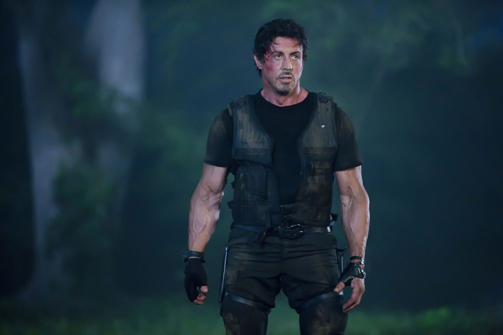 Sylvester Stallone's Earth Shattering Combined Payout for All 4 ...