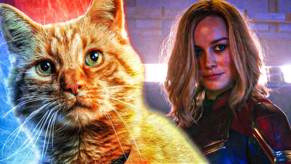 Goose, The Famous Cat From Captain Marvel is Not Real- Brie Larson's ...