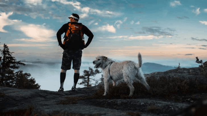 True Story That Inspired Mark Wahlberg's Upcoming 'Arthur the King' is ...