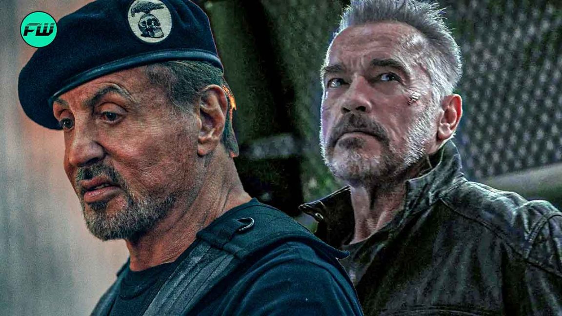 Sylvester Stallone is the Perfect Star for Arnold Schwarzenegger's ...