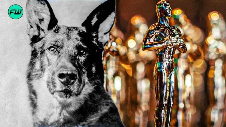 The Oscars: The Academy Almost Handed Best Actor Award to an Actual Dog ...