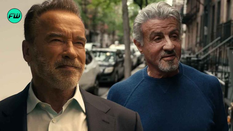 Arnold Schwarzenegger's Decision Definitely Helped Sylvester Stallone ...