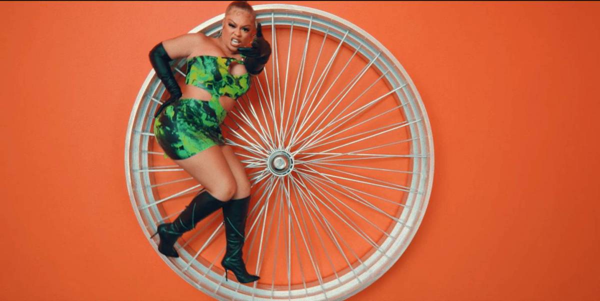 "This is not cute": Rapper Latto Accused of Animal Abuse After Her ...