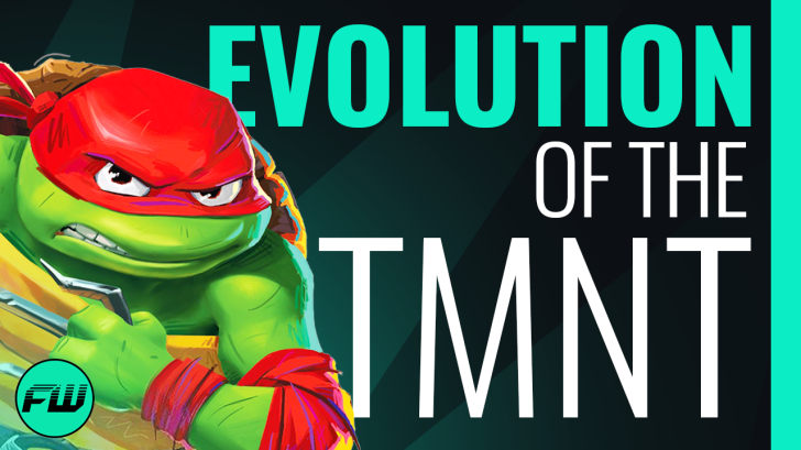 The WILD Evolution of Teenage Mutant Ninja Turtles TMNT (VIDEO)