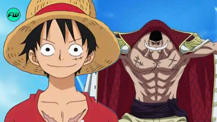 Tokyo's Anime Themed Gym is a Heaven For One Piece Fans With the ...