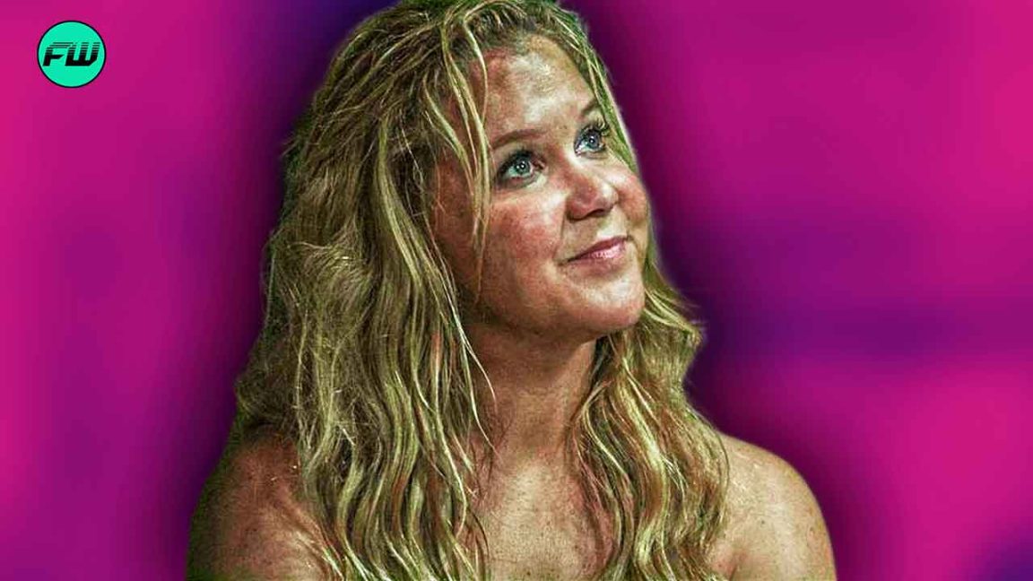 "What happened to Amy's face?": Fans Reveal Amy Schumer May be Taking ...
