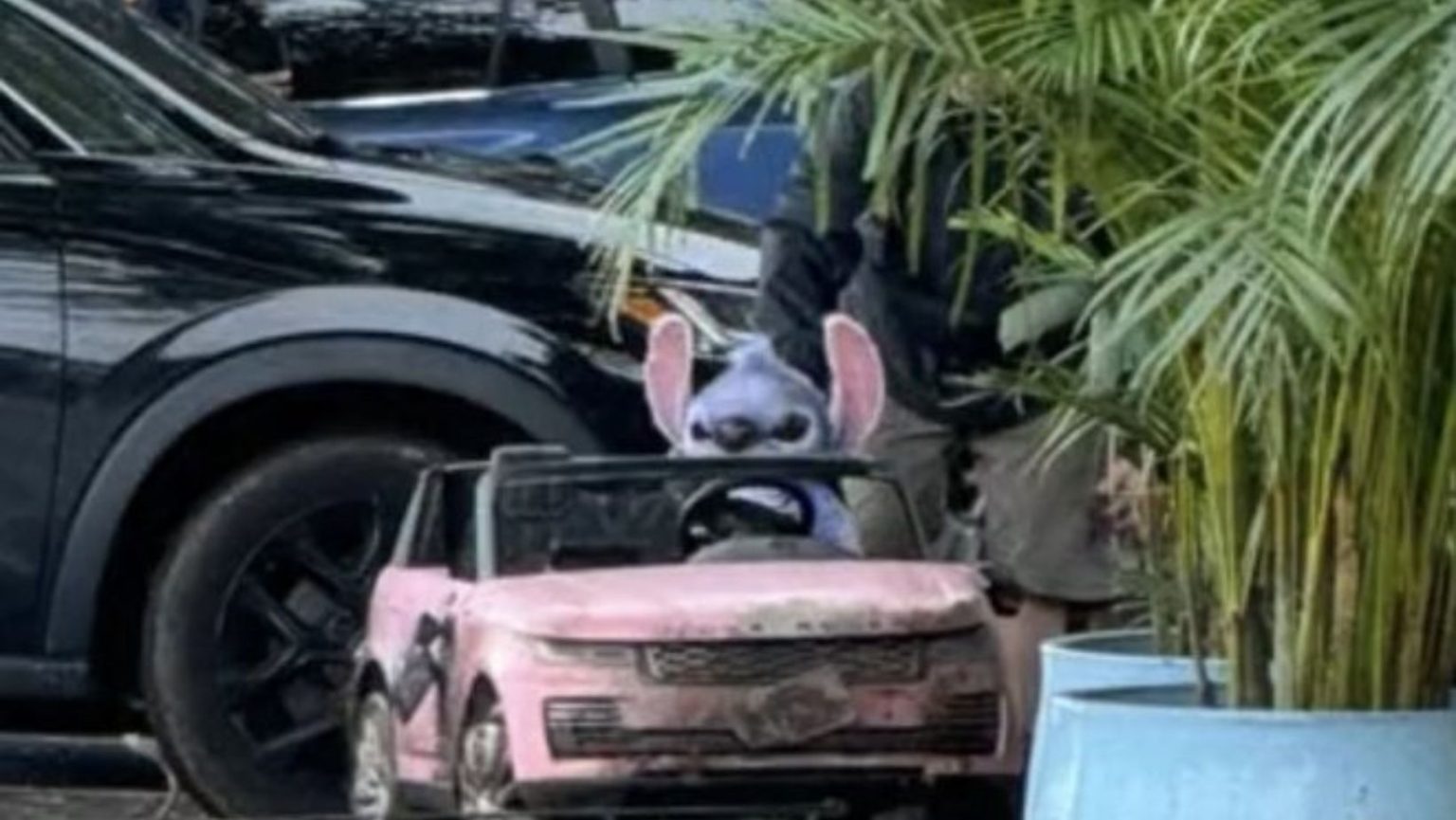 "He actually looks good I'm shocked": First Look of Live Action Stitch ...