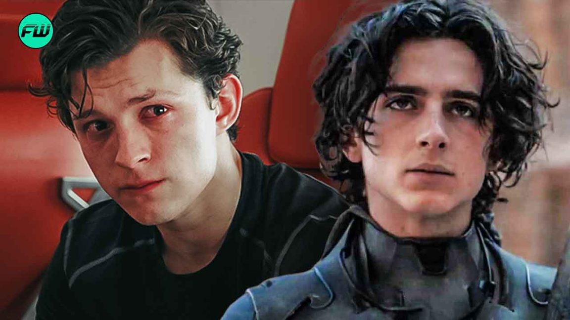 Timothée Chalamet Would Break the Internet as One MCU Character in Tom ...