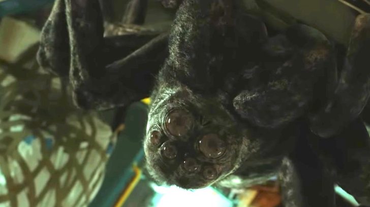 “My body’s not the most flexible body”: Adam Sandler’s Renaissance Era ...