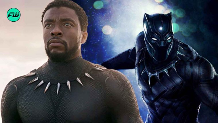 "He was going to be grieving": MCU's Original Plans For Chadwick ...