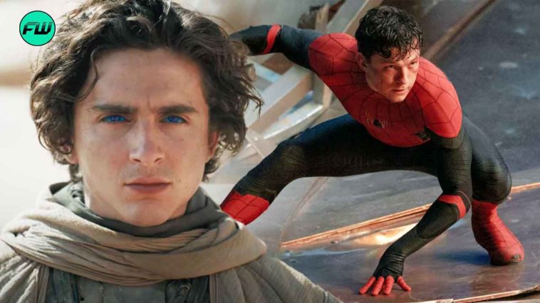 Timothée Chalamet Set To Overtake Tom Holland In Yet Another Hollywood