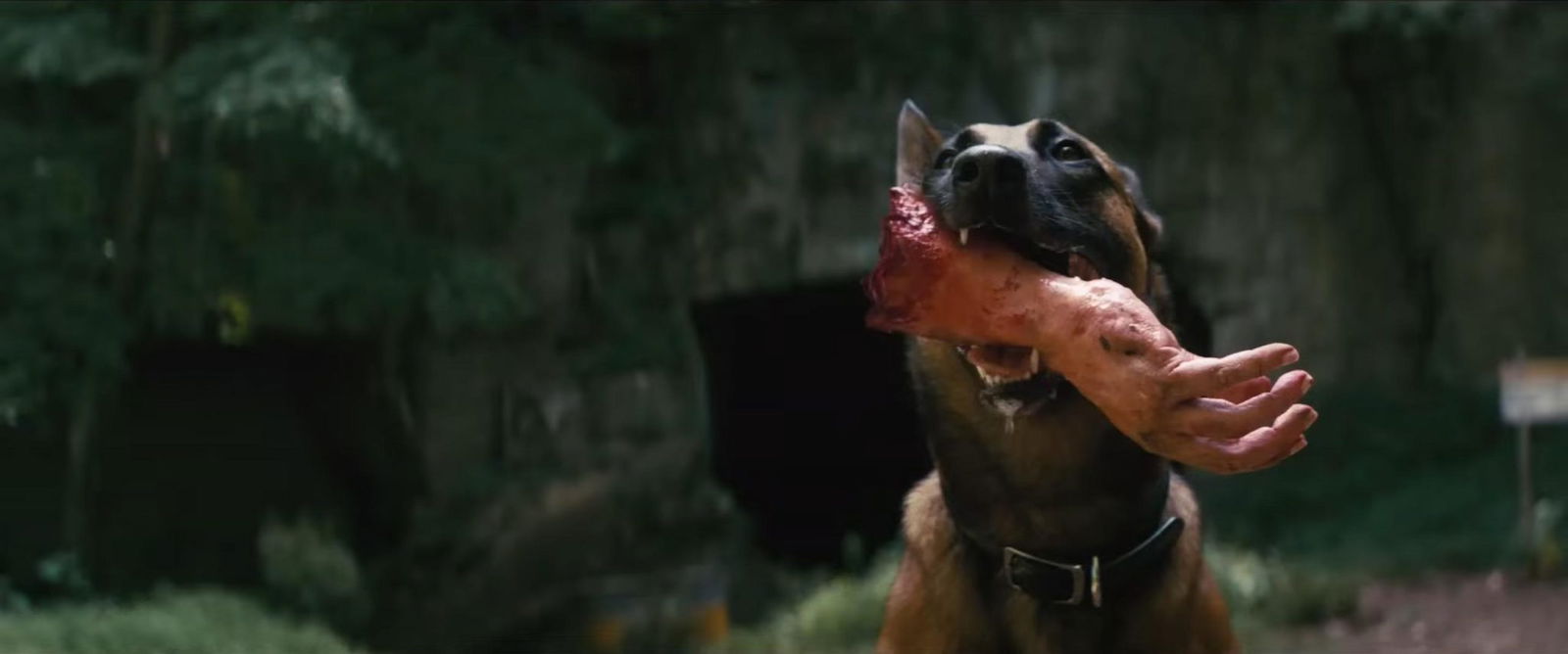 "I think the trick with Fallout...": Todd Howard and Jonah Nolan's ...