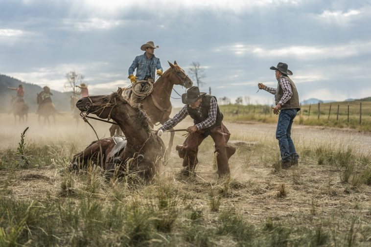 "Let's beat the sh*t out of each other": Yellowstone Star Who Got Sued ...