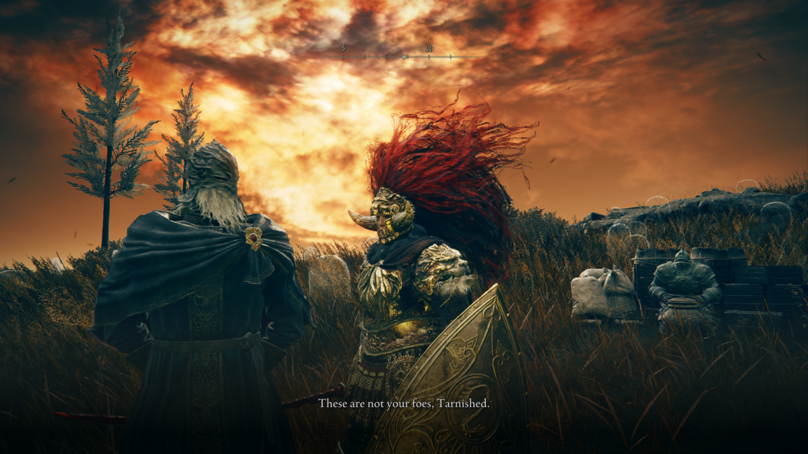 Elden Ring: Shadow of the Erdtree Review - A Masterful Blend of ...