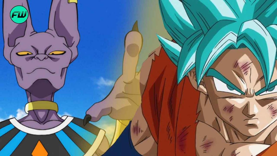 "It's called a Cornish Rex": Akira Toriyama Based Beerus Off of a ...