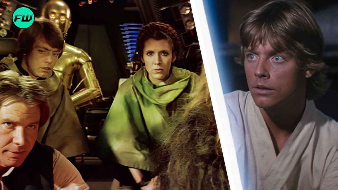 "Luke used the force for that kick": Mark Hamill's Botched Fight ...