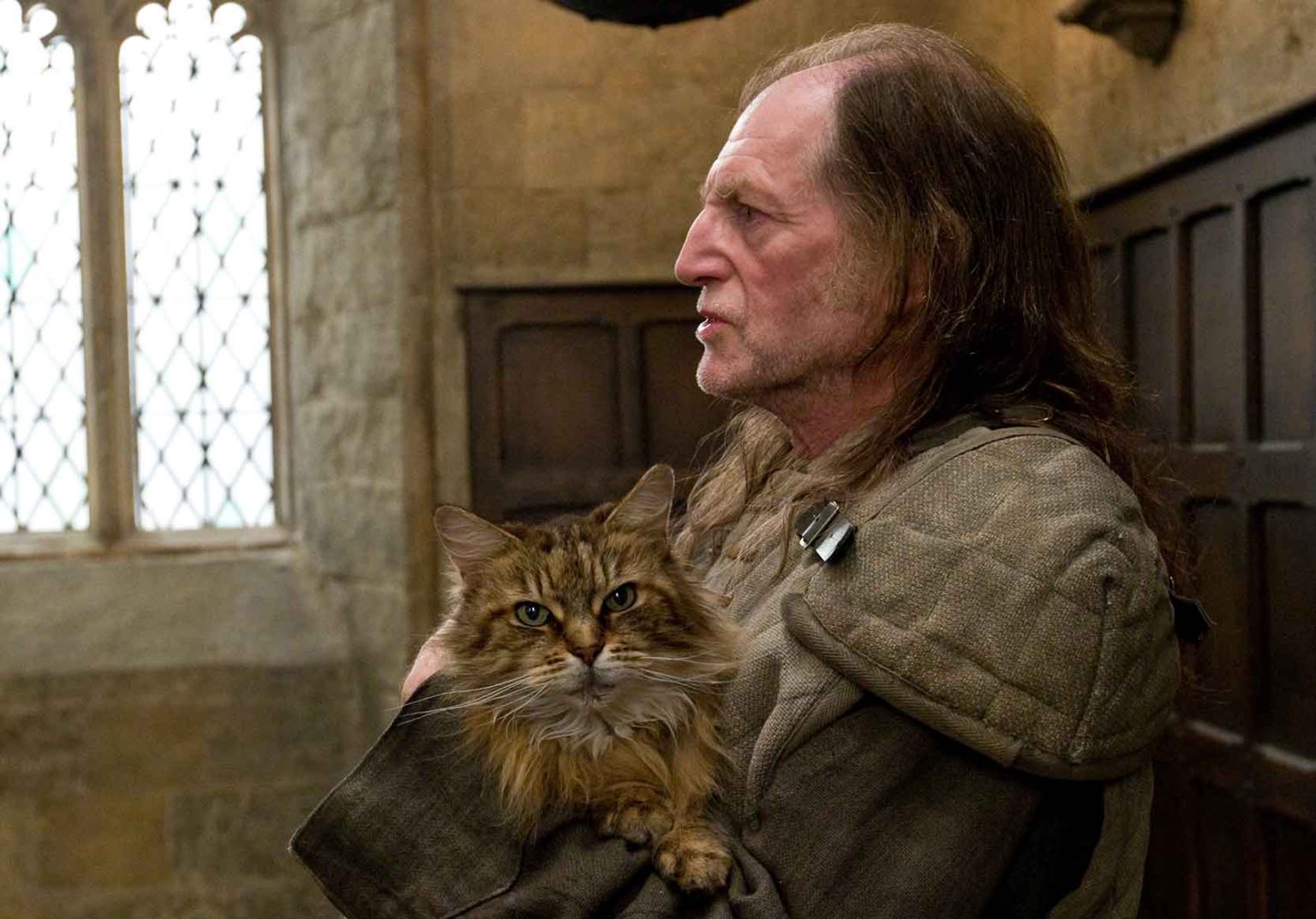 Every Marvel Star in Harry Potter Ranked by Their Character's Story Impact