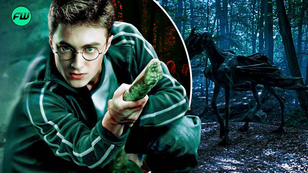 Mind-Blowing Detail in 1 ‘Harry Potter and the Order of the Phoenix ...