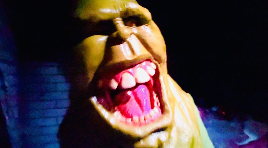 Mini-Pufts Invade Halloween Horror Nights 33