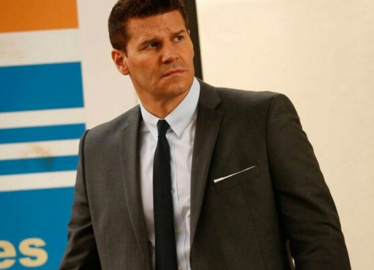 What Is the Cast of "Bones" Doing Now?