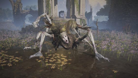 Elden Ring: How to Beat Royal Revenant