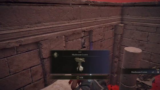 Elden Ring: The Best Scarlet Rot Build
