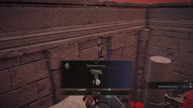 Elden Ring: The Best Scarlet Rot Build