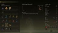Elden Ring: The Best Scarlet Rot Build