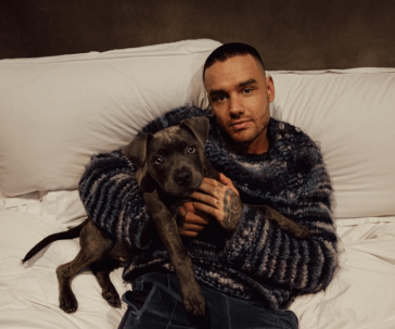 Liam Payne Allegedly Showed Unreleased Music to Suspect as Both "Took ...